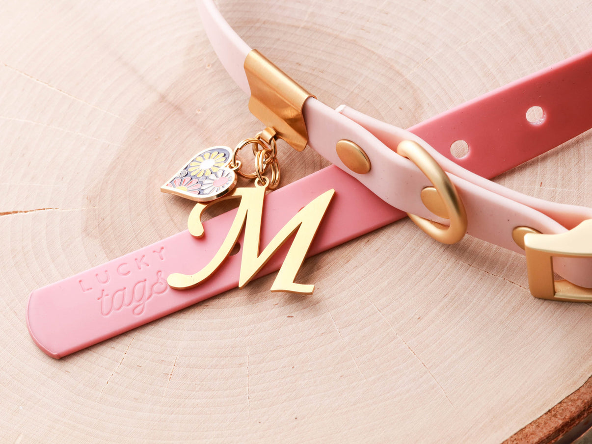 Cursive Letters – Lucky Tags